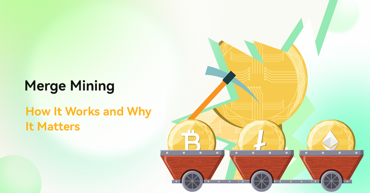 The Beginner's Guide On How To Use Bitdeer's Mining Platform
