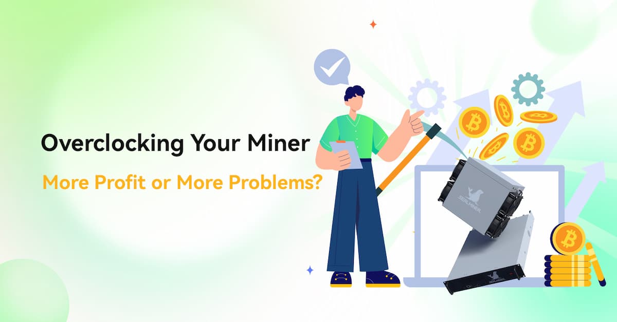 Bitcoin Mining & Learning Hub With Bitdeer