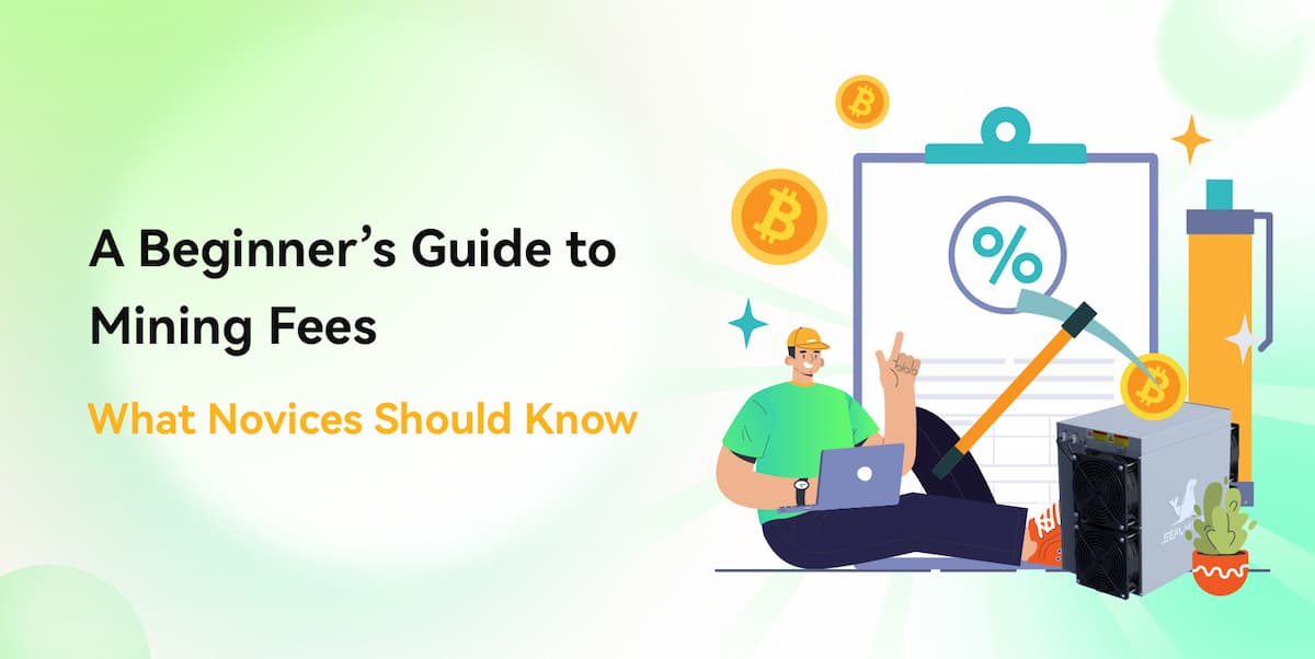 Bitcoin Mining & Learning Hub With Bitdeer